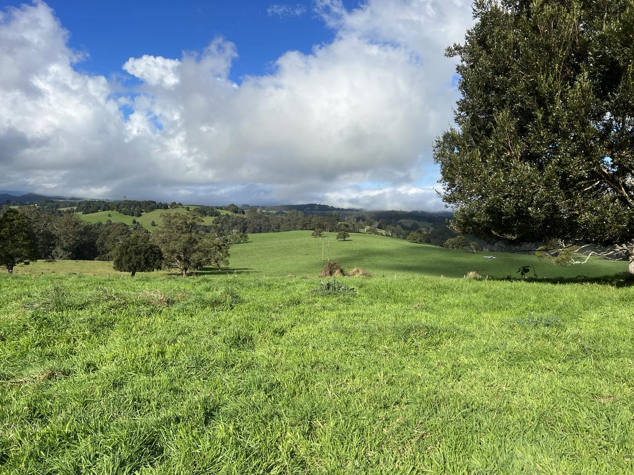 Hyland Farms 1/10th Pack Beef - Farmer Butcher